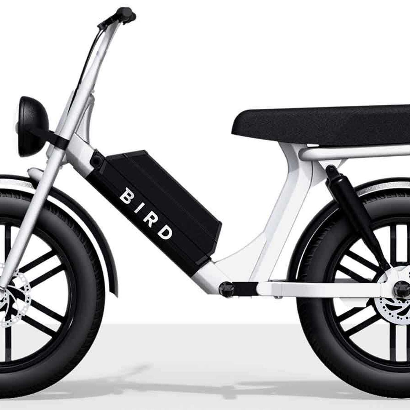 Bird Cruiser—A New Urban Micro-Mobility Solution | Motorcyclist