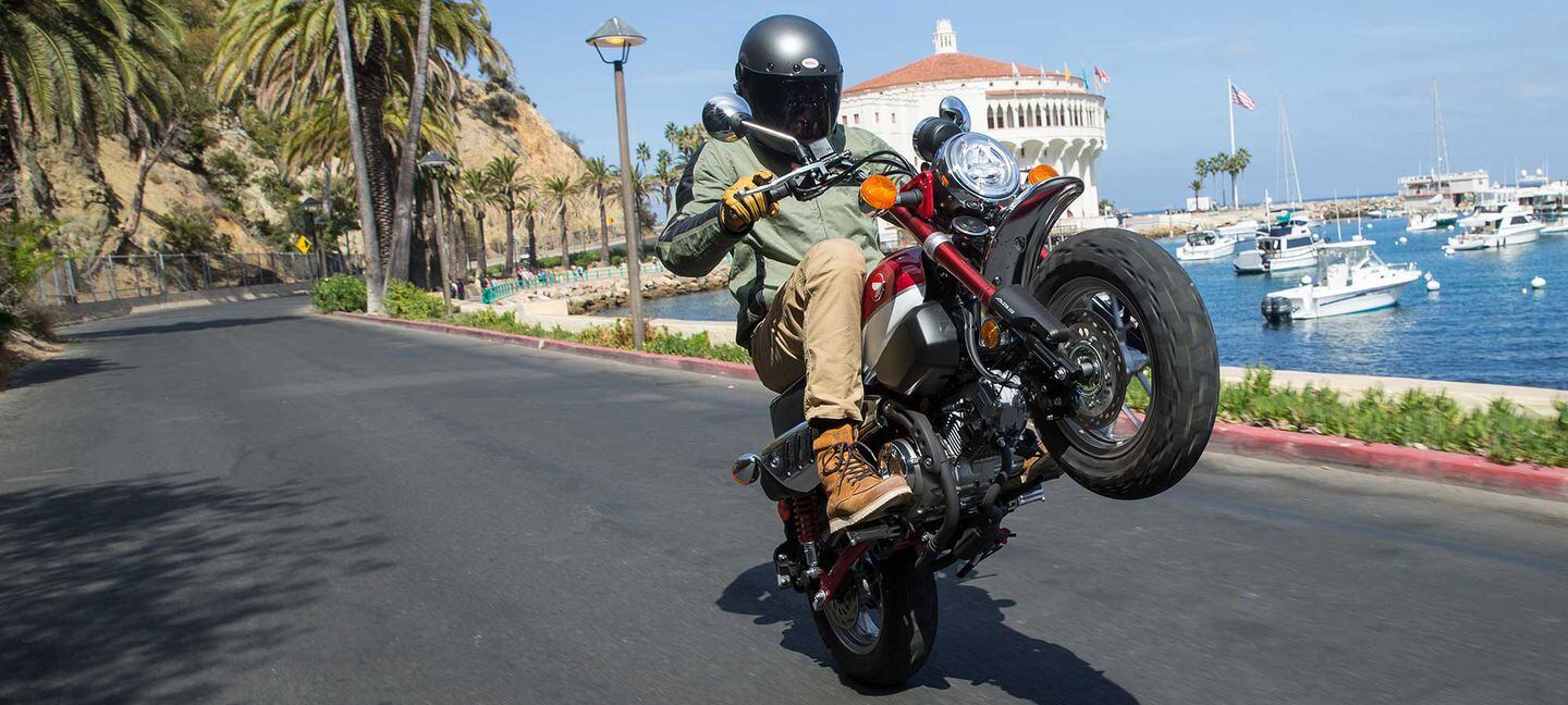 2019 Honda Monkey First Ride Review | Motorcyclist