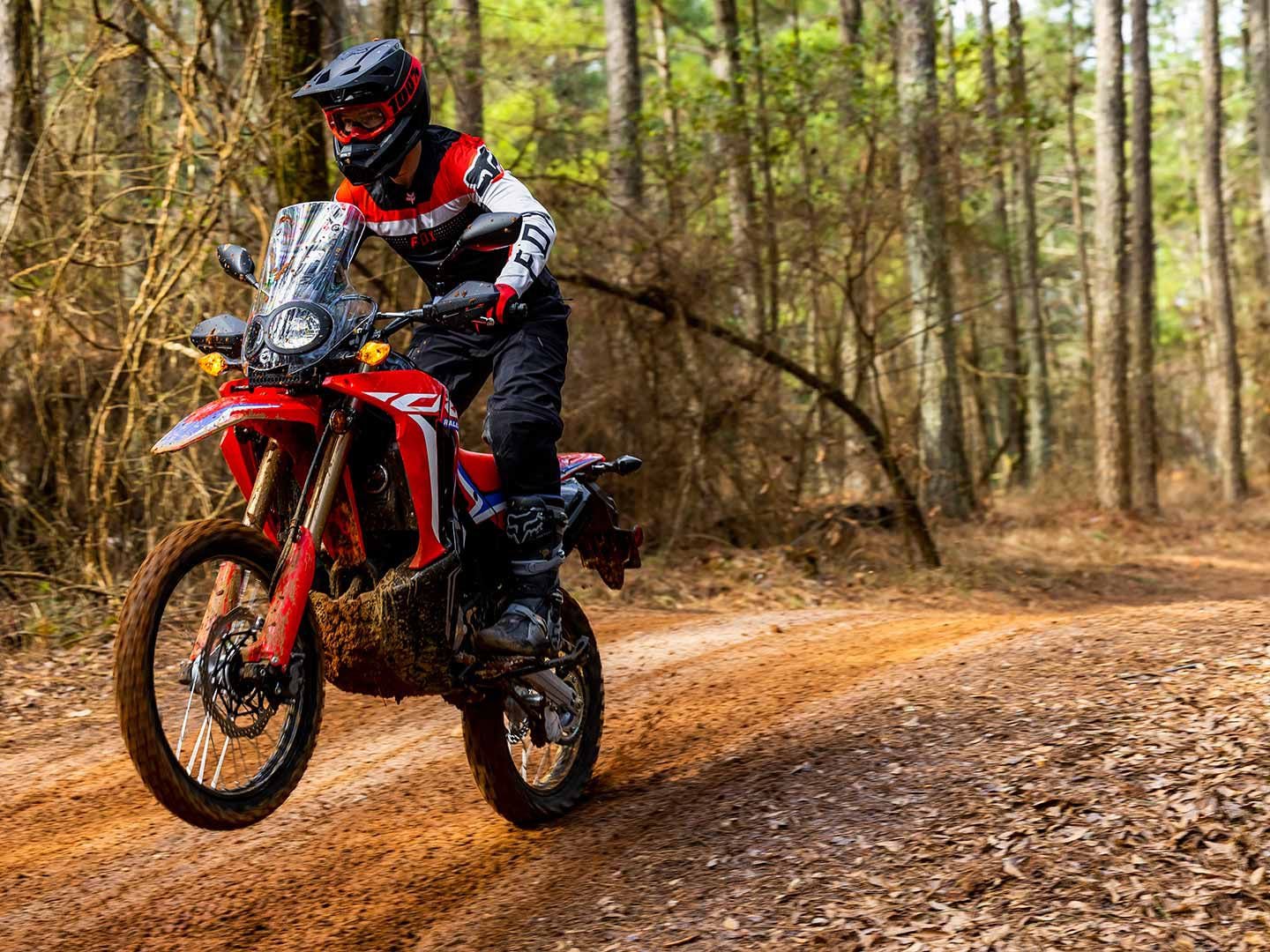 2023 Honda CRF300L Rally First Look Preview | Motorcyclist